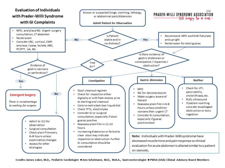 GI Algorithm Chart for PWS FINAL 4-1-15 - Prader-Willi Syndrome ...